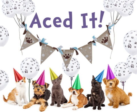 KeySar Rescue - Word Search